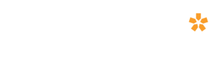 Starshot Services - Starshot Services Portal